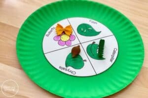 Paper Plate Butterfly Life Cycle Craft [Free Template] | Mombrite