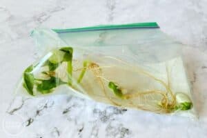Growing Beans in a Bag: Seed Germination Experiment | Mombrite