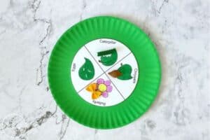 Paper Plate Butterfly Life Cycle Craft [Free Template] | Mombrite