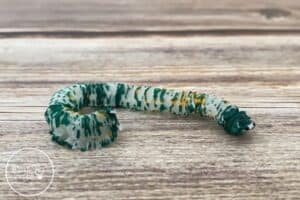 Wriggly Straw Wrapper Worm Experiment | Mombrite