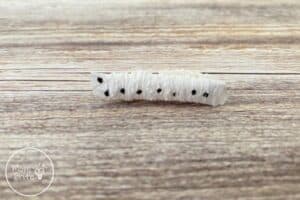 Wriggly Straw Wrapper Worm Experiment | Mombrite