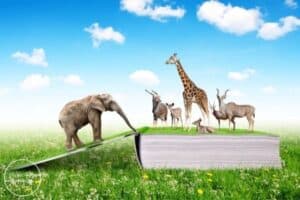 15 Best Children's Books About Animals - Mombrite