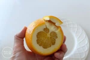 Orange Peel Fire Explosion Experiment | Mombrite