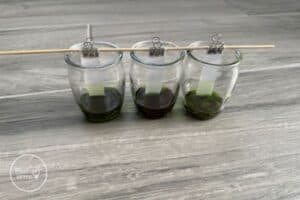 Leaf Chromatography Experiment: Why Do Leaves Change Colors? | Mombrite