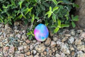Easy Fizzy Egg Dyeing Science Experiment | Mombrite