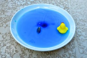 Easy Sound Wave Water Experiment for Kids - Mombrite