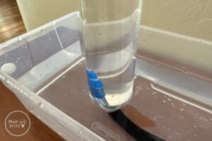 How to Measure Lung Capacity: Fun Human Anatomy Science Experiment for ...