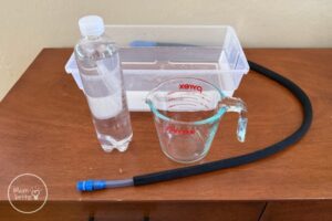 How to Measure Lung Capacity: Fun Human Anatomy Science Experiment for ...